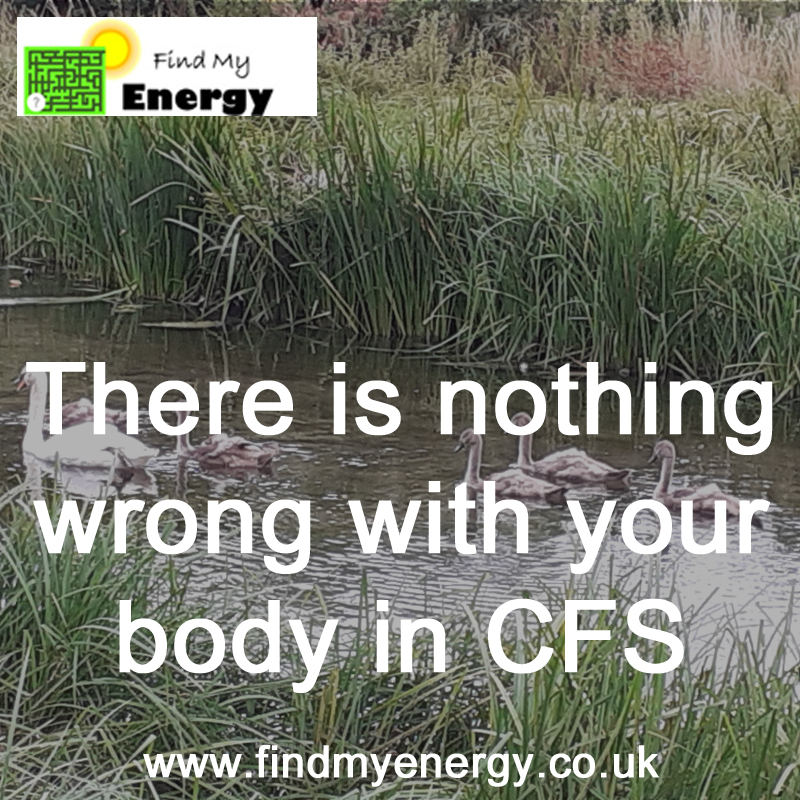 There is nothing wrong with your body - Find My Energy