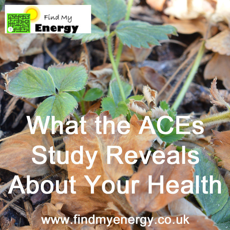 What the ACEs Study Reveals About Your Health - Find My Energy
