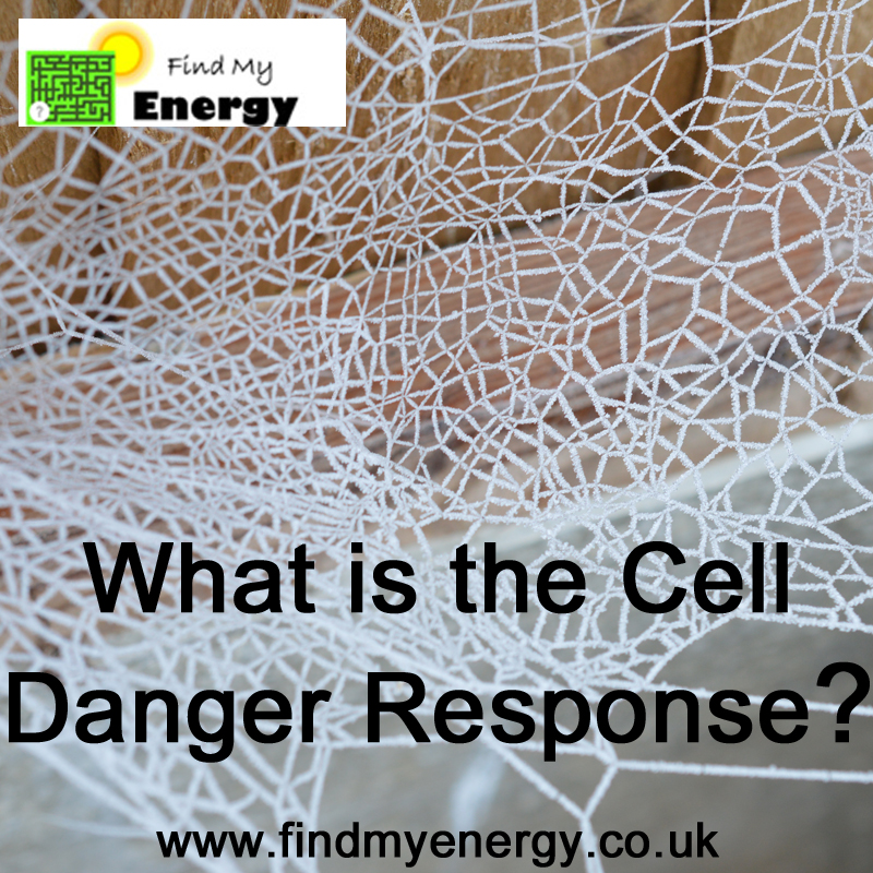 What is the Cell Danger Response? - Find My Energy